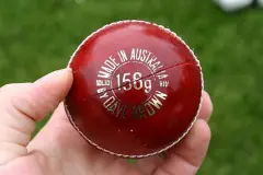 Cricket Ball Weight and Size Explained: A Complete Guide for Beginners ...
